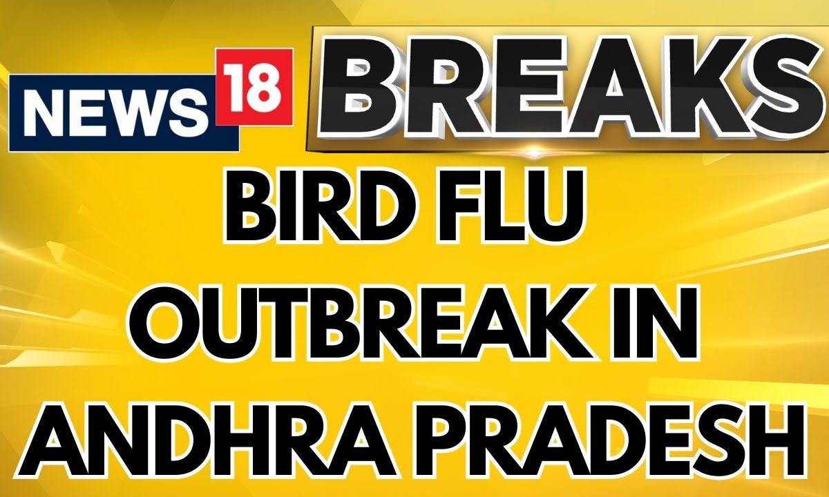 Bird Flu Deaths Confirmed In East And West Godavari Districts, Andhra ...