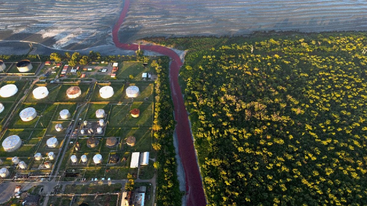 ‘Like Covered In Blood’: River Near Argentina Capital Turns Red, Gives ...