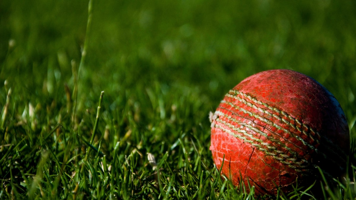 Namibia Women To Play Four-Match White-Ball Series Against Assam ...