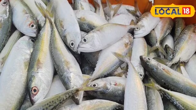 This Fish Is Rich In Vitamin D, Also Helps You Maintain Sugar Levels ...