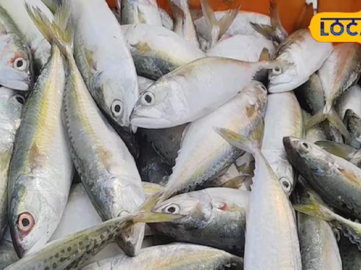 Fish Images With Names In Telugu Aged Fish Images Download Free ...
