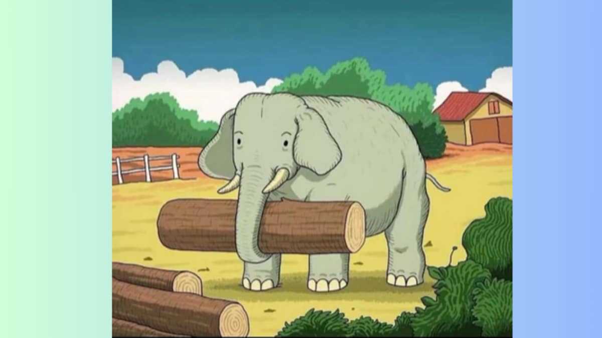 Spot The Hidden Horse In This Tricky Optical Illusion! | Viral News ...