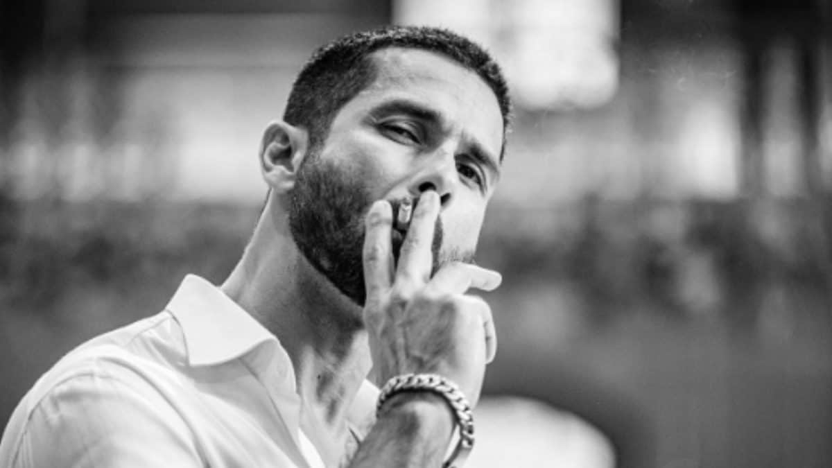 Mira Rajput Reviews Shahid Kapoor's Deva: ‘You Bring Madness, Rage And ...