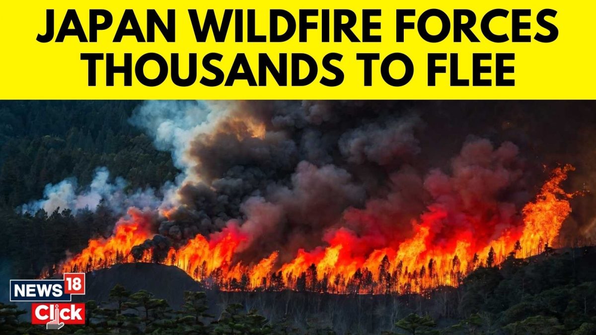 Japan’s wildfire leaves at least one dead, triggers evacuation of ...