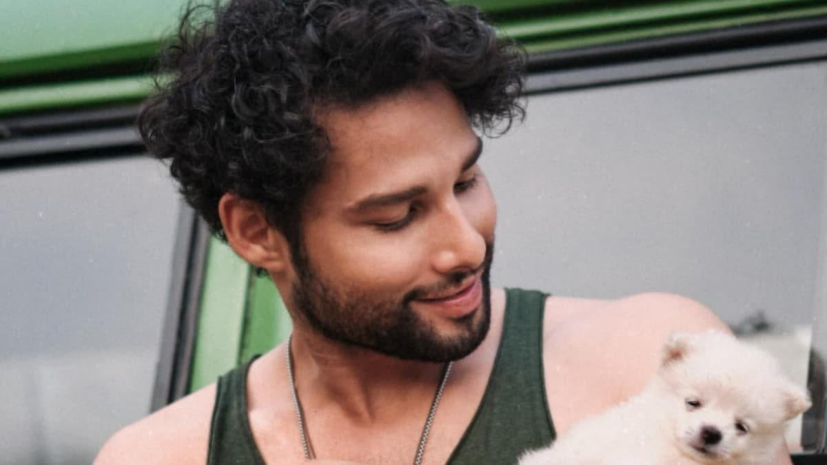 Siddhant Chaturvedi Says Life Is Like A Short Film With 'Disconnected ...