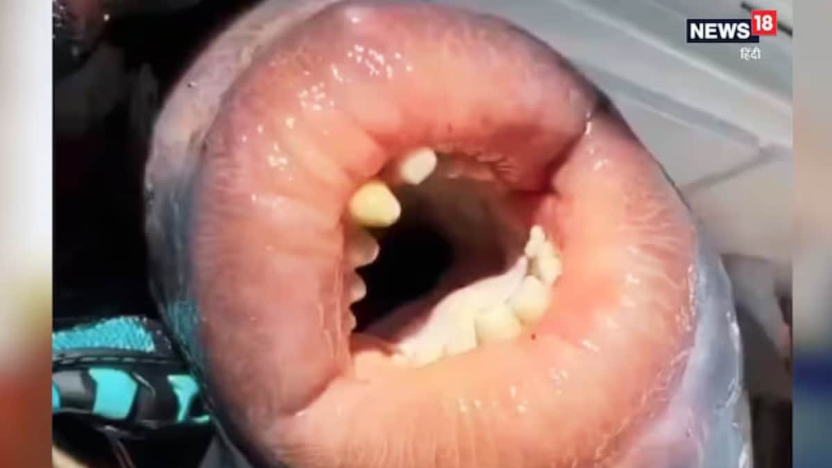 Whose Lips Are These? Viral Video Has Netizens 'Fishing' For Answers ...
