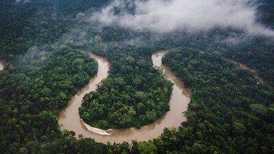 Amazon Rainforest To Sundarbans: Top 10 Largest Forest In The World ...