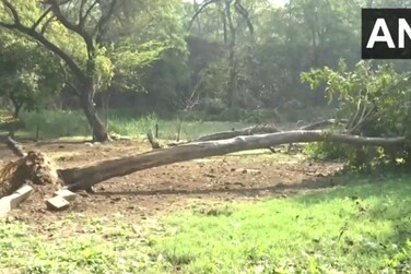 Earthquake Delhi News: Latest Earthquake Delhi News and Updates at News18
