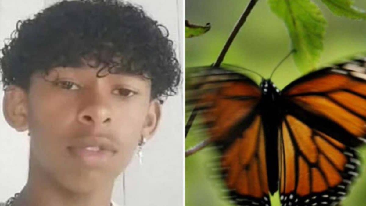 Teen Dies After Injecting Butterfly Remains. Was It A Viral Challenge ...