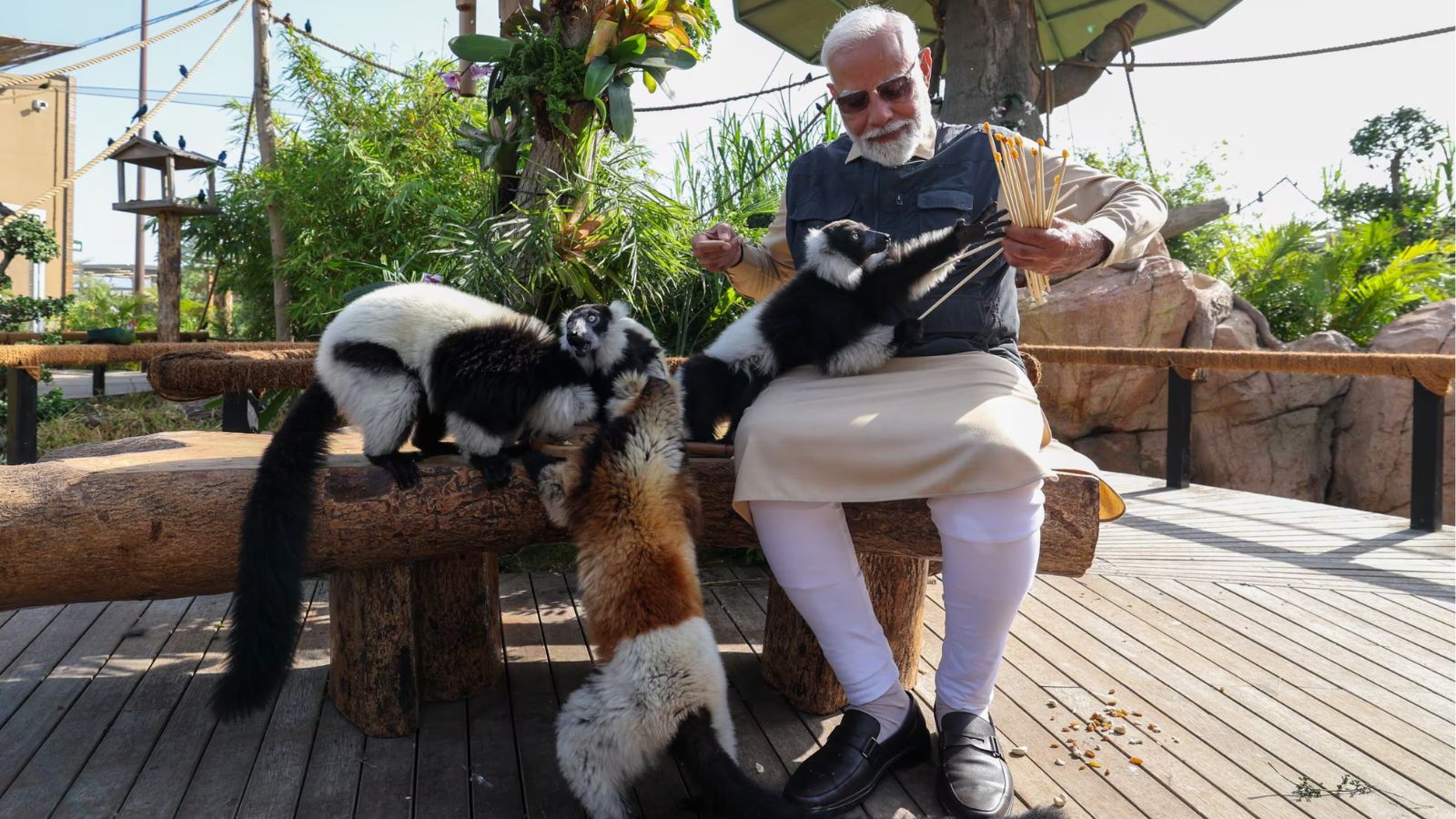 PM Modi’s March In Photos: From Gir Safari To Spending Time With ...