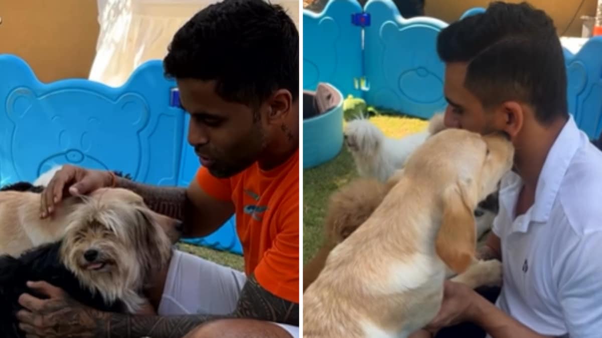 Watch: Mumbai Indians Stars Spend Some Down-Time With Furry Friends ...