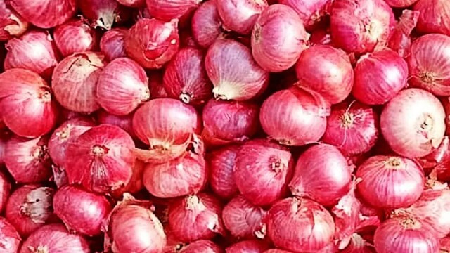 Onion Prices To Increase? Govt Withdraws 20% Export Duty On Onion Effective April 1 | Economy ...