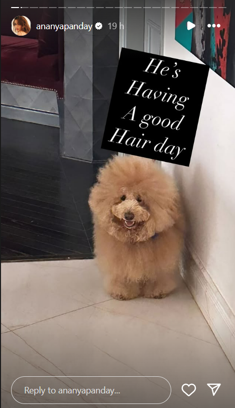 More Cute Moments From Ananya Panday And Her Pet Dog Diaries | Movies ...