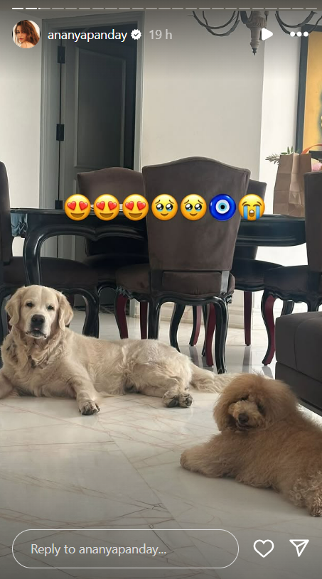 More Cute Moments From Ananya Panday And Her Pet Dog Diaries | Movies ...