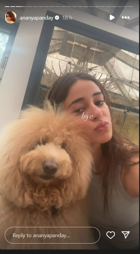 More Cute Moments From Ananya Panday And Her Pet Dog Diaries | Movies ...