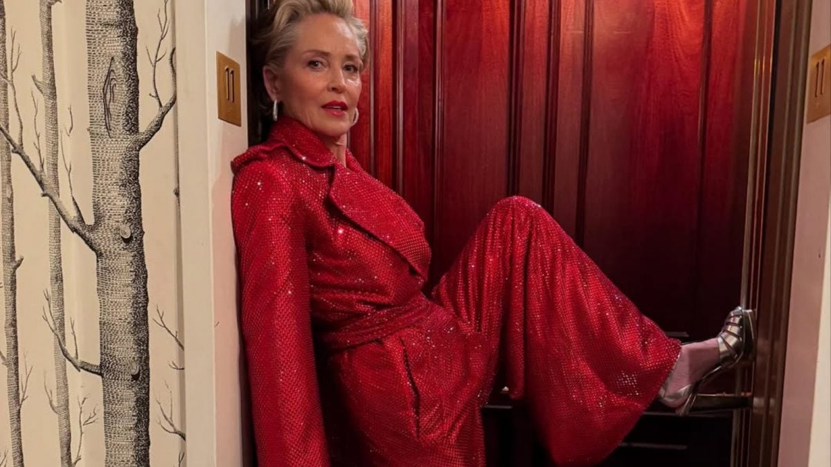 Sharon Stone Turns 67: Why She Stopped Acting And Her Top Movies To ...