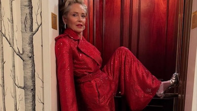 Sharon Stone Turns 67: Why She Stopped Acting And Her Top Movies To ...