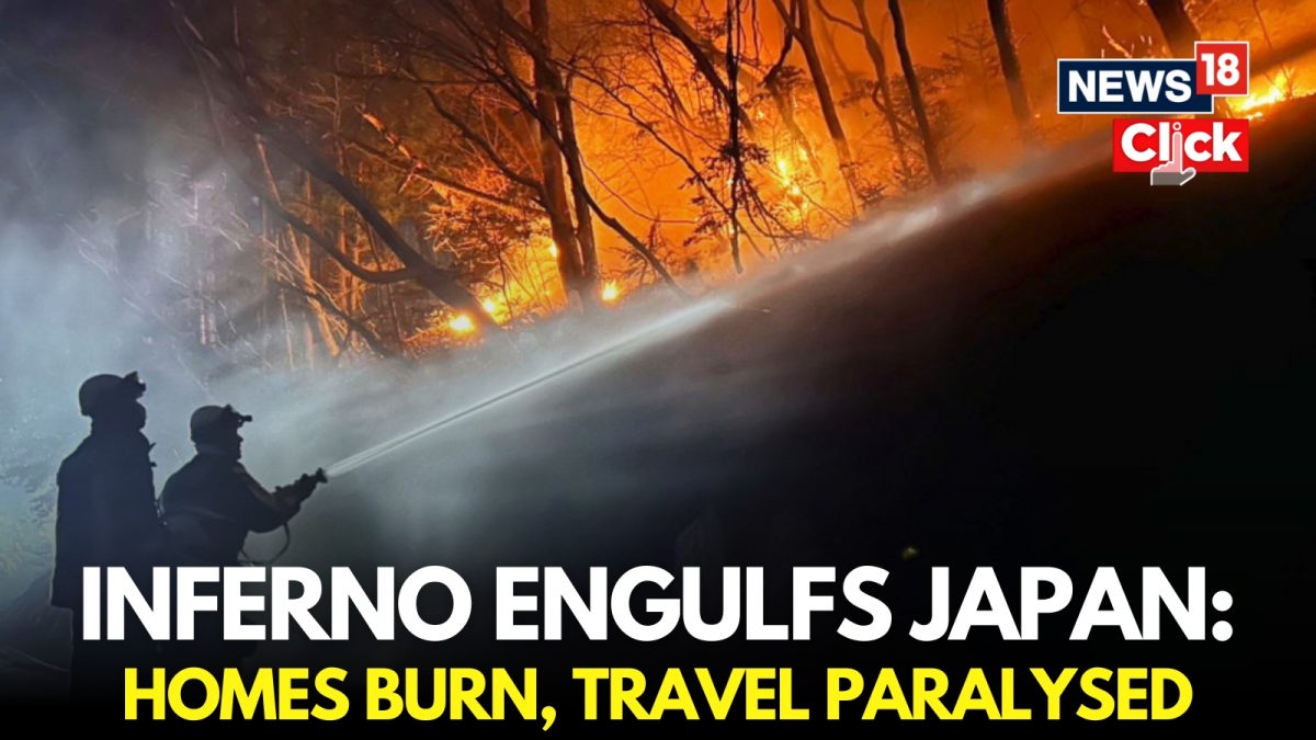 Wildfires rage across Japan, over 600 hectares scorched - News18