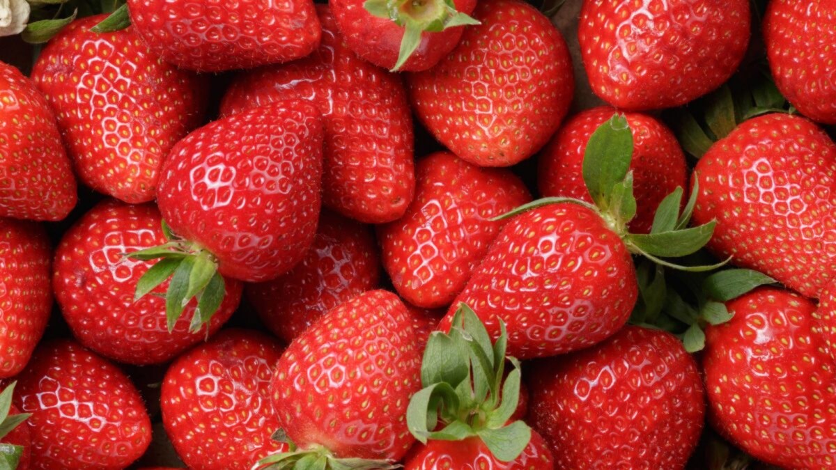 US Strawberries Remain Unsold At Canadian Supermarkets Amid Tariff ...