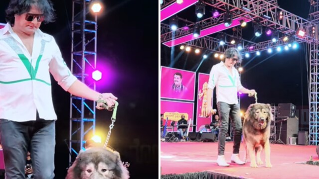 Bengaluru Dog Lover Spends Rs 50 Crore On Rare Wolf-Caucasian Shepherd ...