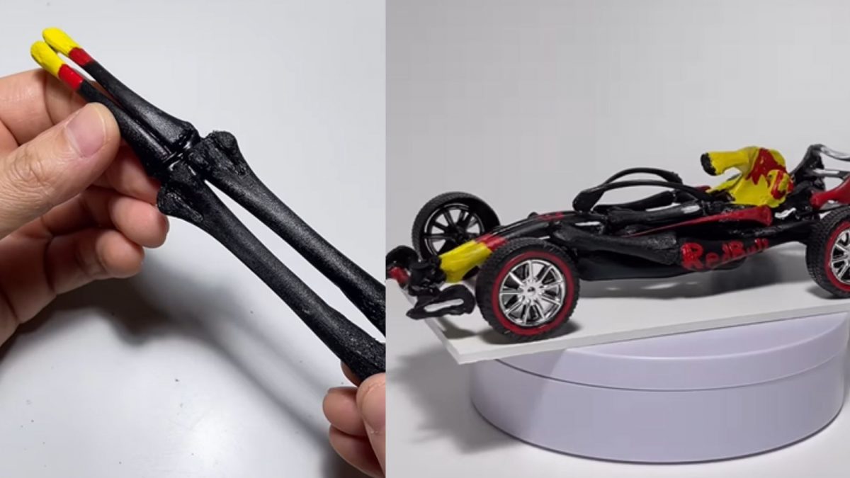 Watch: Artist Creates Mind-Blowing Red Bull Model Using Chicken Bones ...