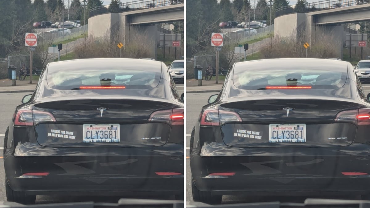 'I Bought This Before Elon Musk Was Crazy': Tesla Owners Fight Back ...