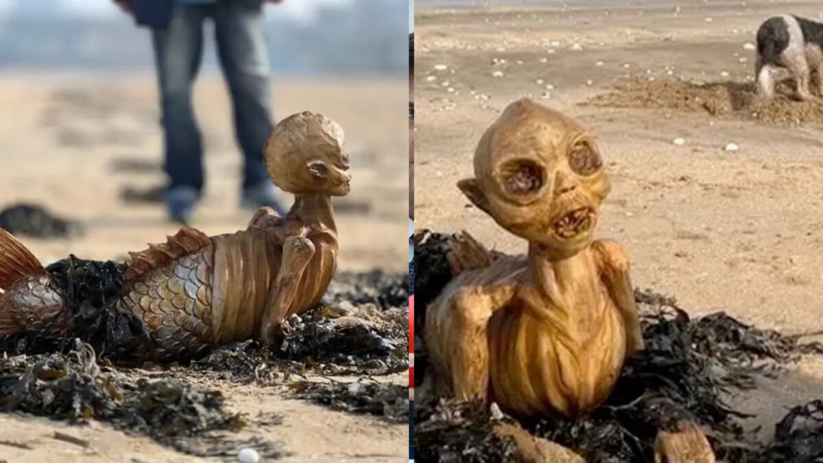 Beach Walk Turns Scary As UK Couple Discovers Mysterious ‘Mermaid-Like ...