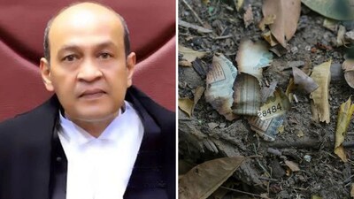 Justice Yashwant Varma's Judicial Work Withdrawn Amid Cash-At-Home Allegations, Delhi HC Issues ...