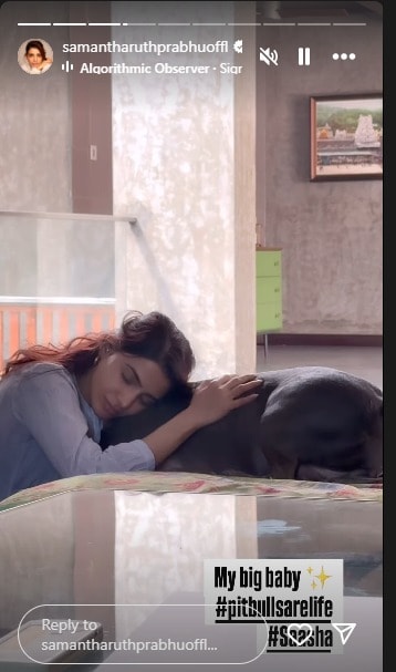 Samantha Ruth Prabhu And Saasha’s Snuggle Time Is Giving Major Pet Parenting Goals | Movies News ...