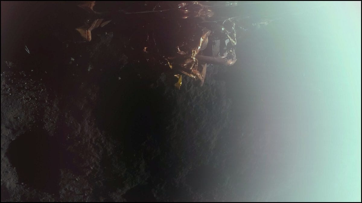 Firefly Aerospace's Blue Ghost Spaceship Lands On Moon, Second ...