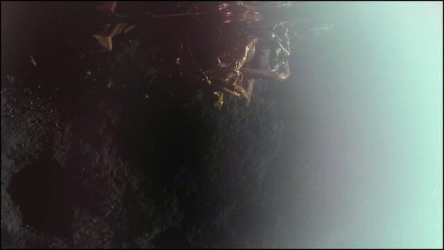 Firefly Aerospace's Blue Ghost Spaceship Lands On Moon, Second ...