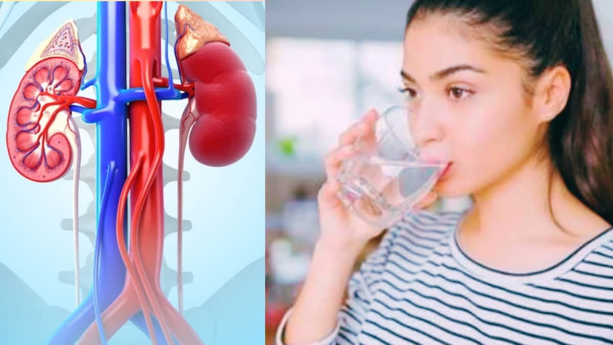 7 Morning Habits To Keep Your Kidneys Healthy | Lifestyle News - News18