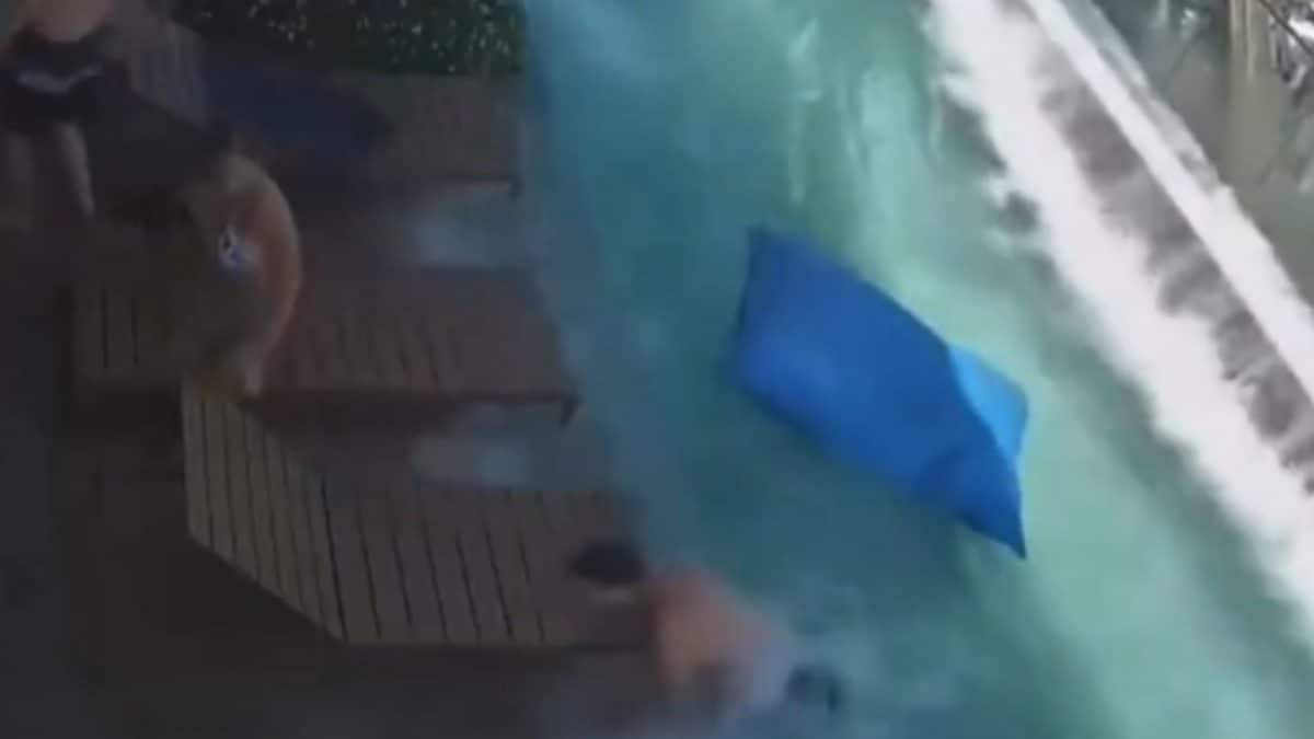 Myanmar Earthquake: Water Splashed Over Pool's Edge As High-Rise ...