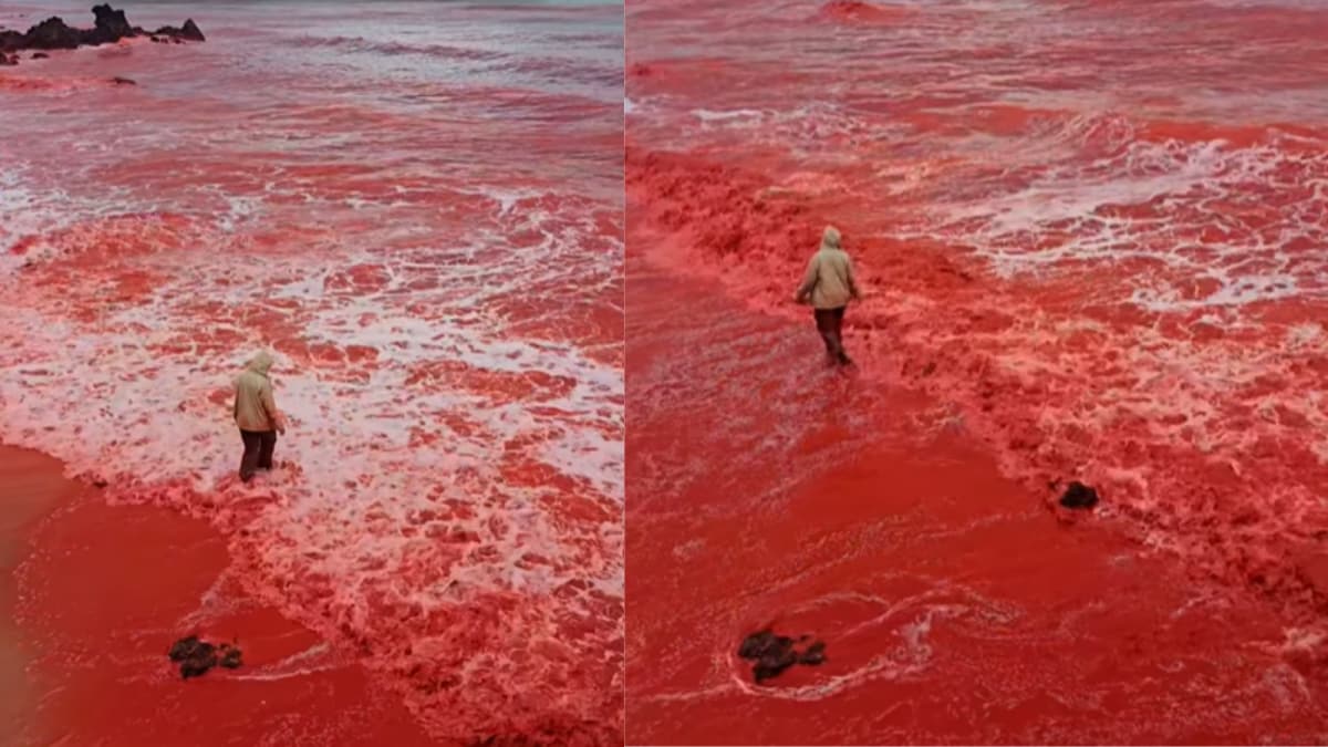 Iran's 'Blood Rain' Turns Beaches Red, Know The Truth Behind It | Viral ...