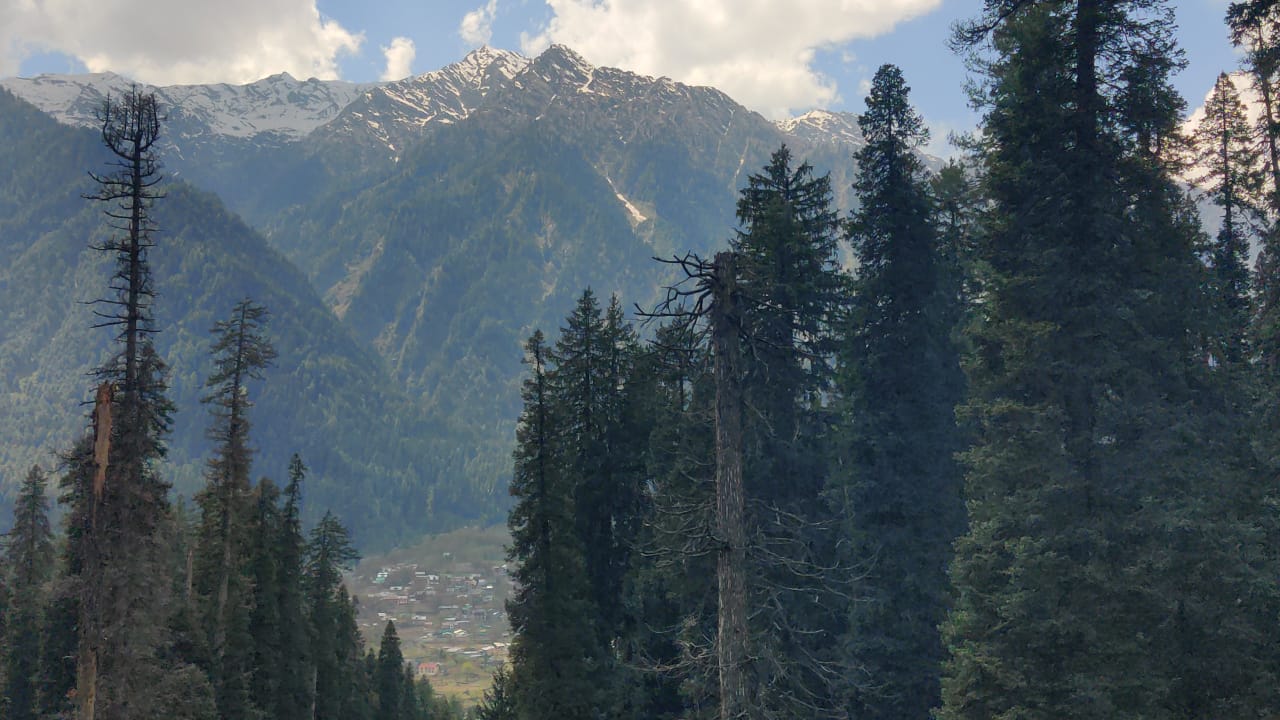 The Bloodstained Meadow: Here's What News18 Found At The Site Of The ...