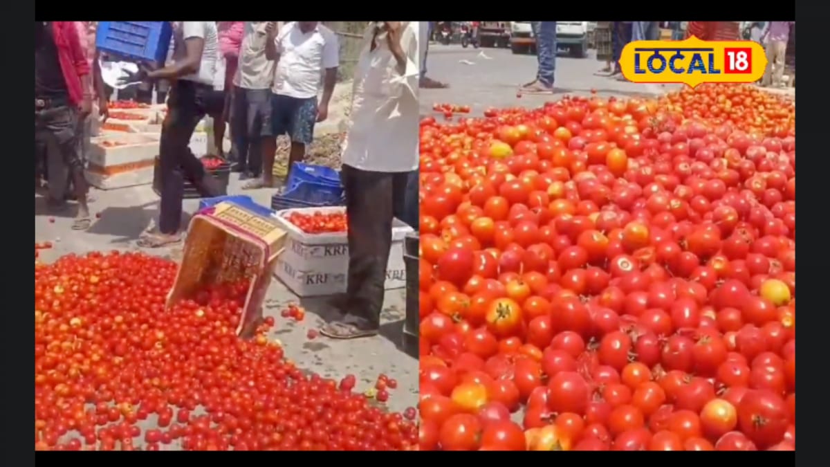 Farmers Dump 50 Quintals Of Tomatoes On The Road As Prices Slip Below ...