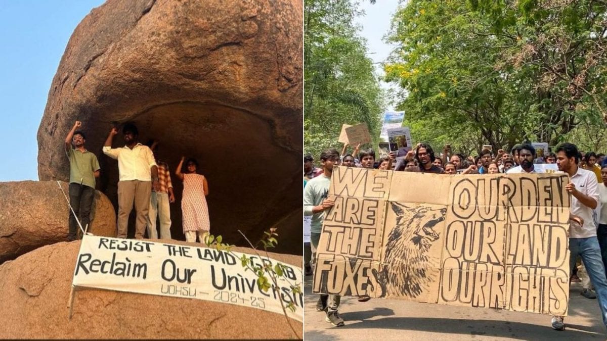 SC Stays Tree Felling In Telangana Amid Massive Protests. What Are ...