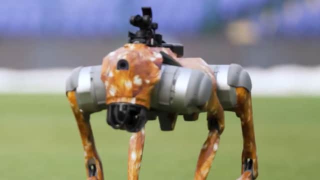 IPL Unveils Adorable Robotic Camera Dog, Asks Internet To Name It ...