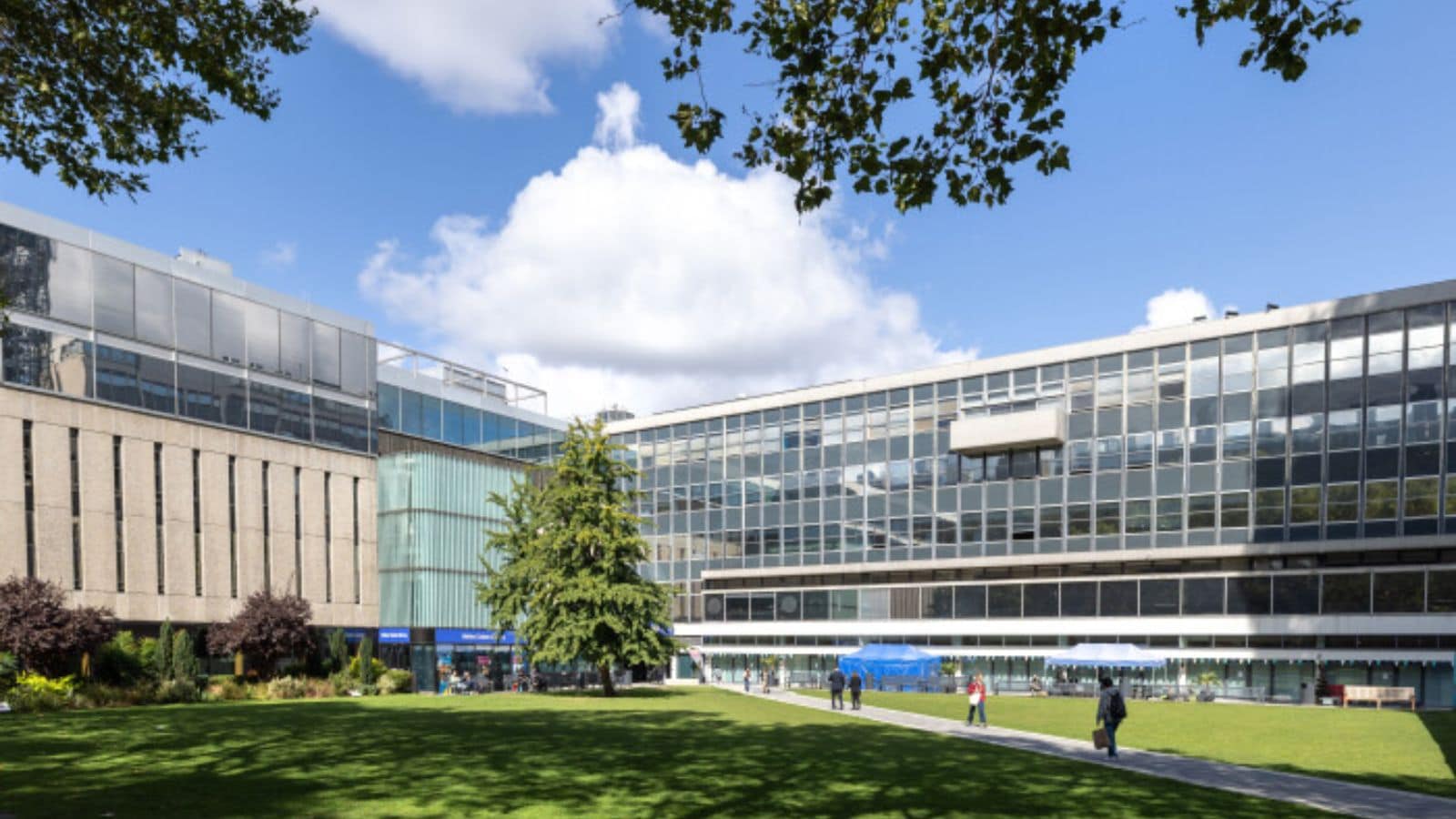 World’s Top 10 Universities: Oxford, MIT & Princeton Lead THE Rankings ...