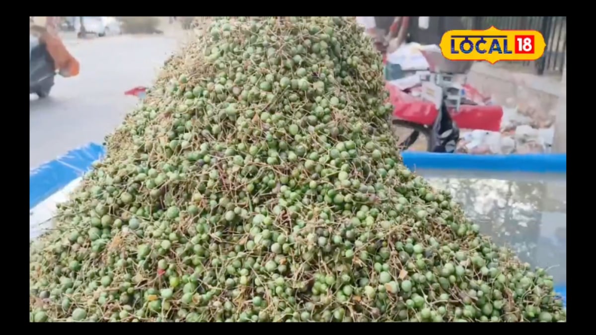 This Veggie Is Known As The 'Dry Fruit Of Rajasthan'. Here's Why It's ...