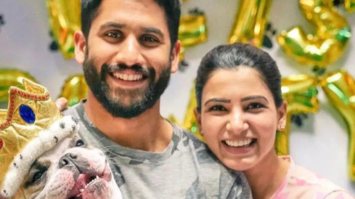 Samantha Ruth Prabhu Boyfriend: Samantha Ruth Prabhu Biographie – JTCP