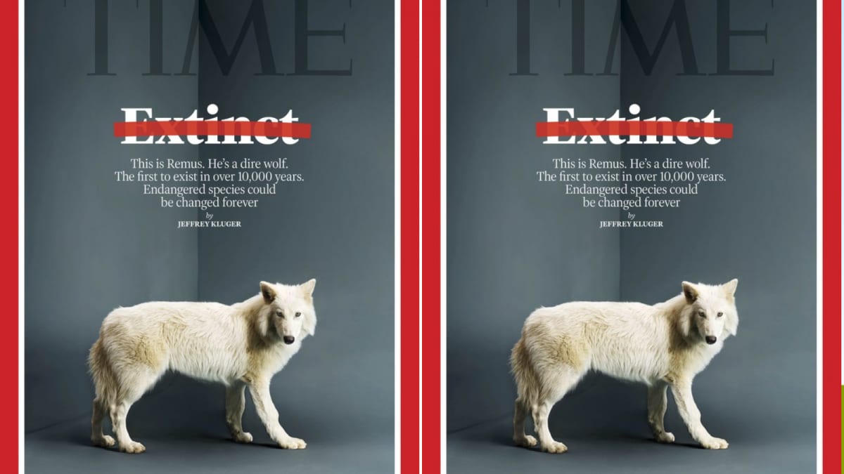 Elon Musk, George RR Martin React To Revival Of Dire Wolf After 12,000 ...
