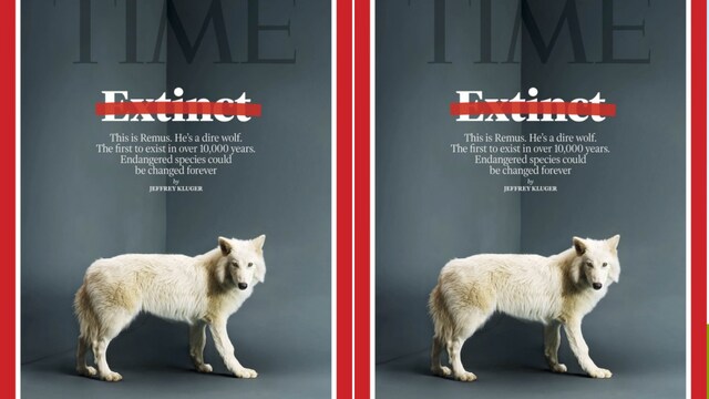 Elon Musk, George RR Martin React To Revival Of Dire Wolf After 12,000 ...