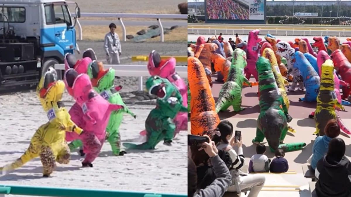 ‘Made Me Laugh So Hard’: Japanese T-Rex Costume Race Goes Viral | Viral ...