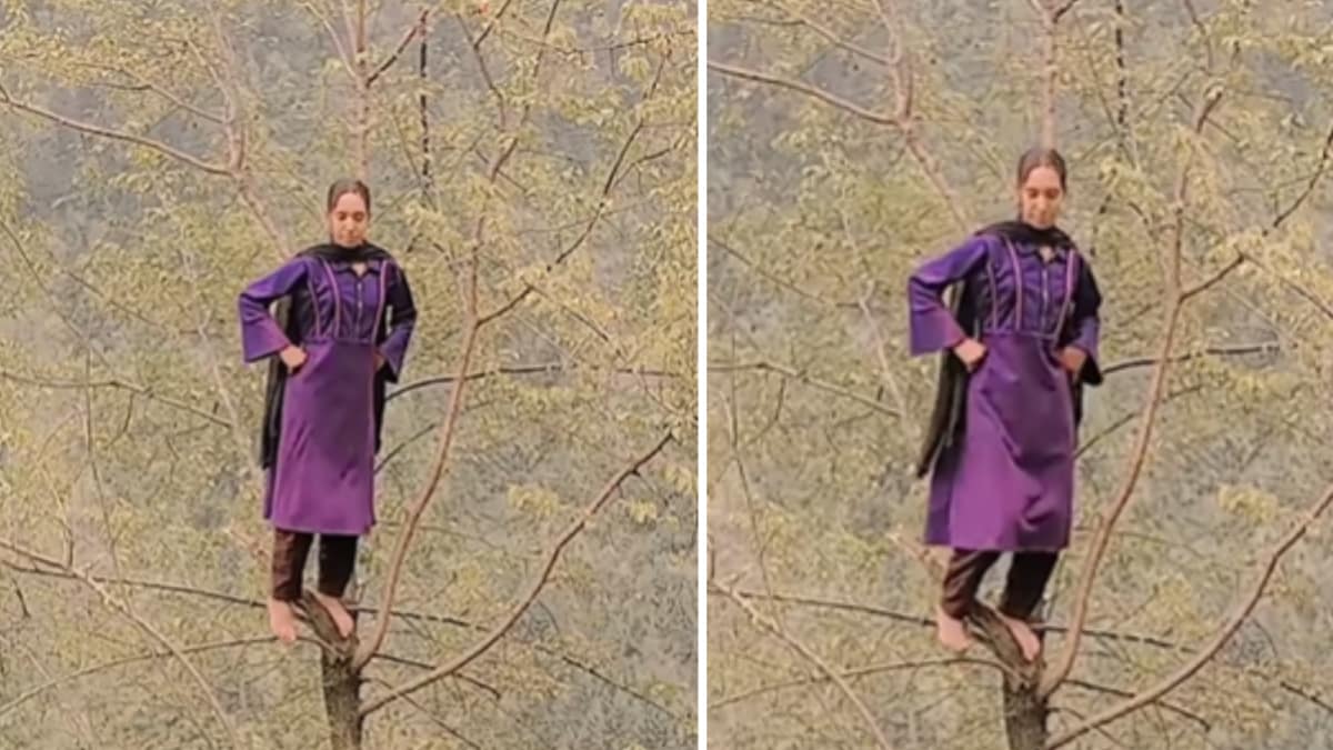 Bizarre Video Of Kashmiri Woman Dancing On Top Of A Tree Viral | Viral ...