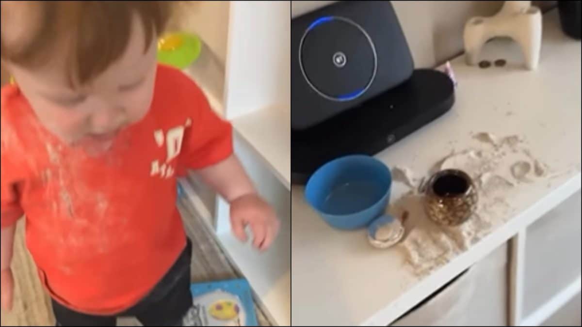 'When Your Son Eats Your Dad': UK Toddler Accidentally Consumes ...