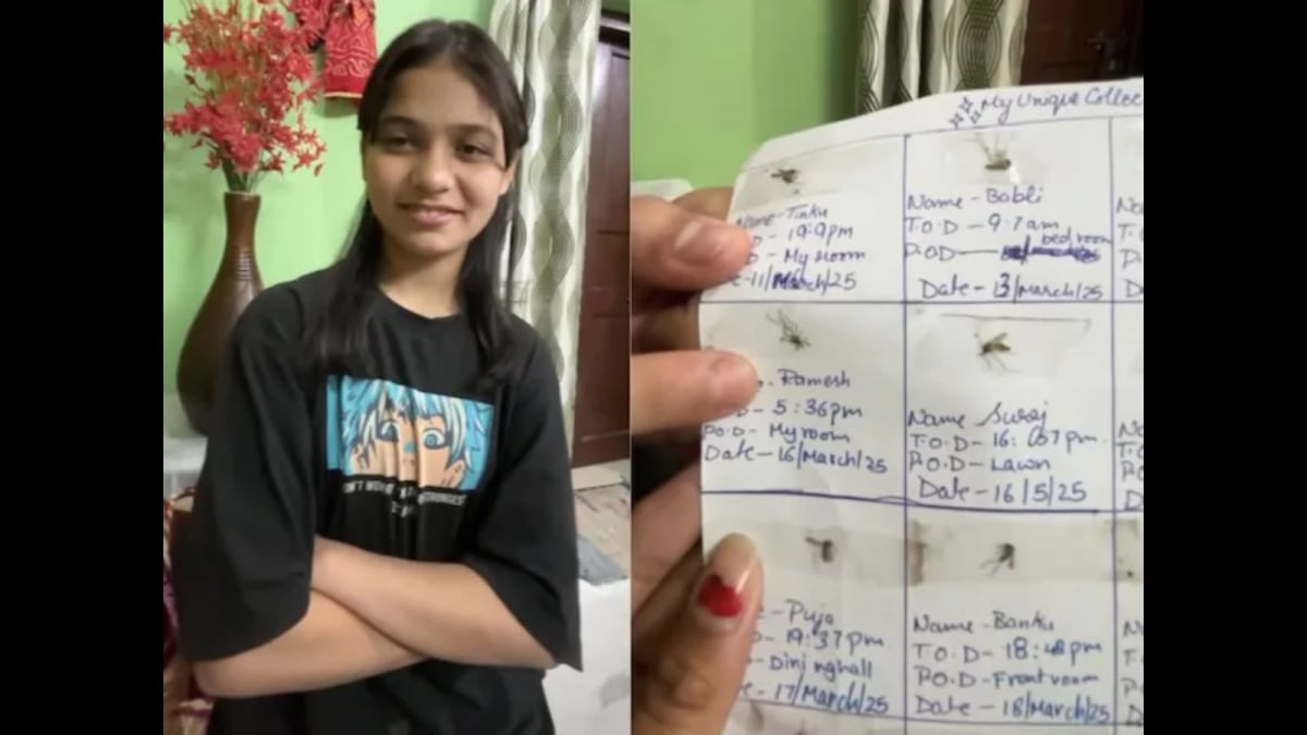 This Young Girl Kills Mosquitoes, Names Them And Even Keeps A Ledger ...