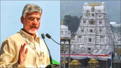 TTD Introduces WhatsApp-Based Services For Tirumala Devotees After CM Naidu's Visit | India News ...