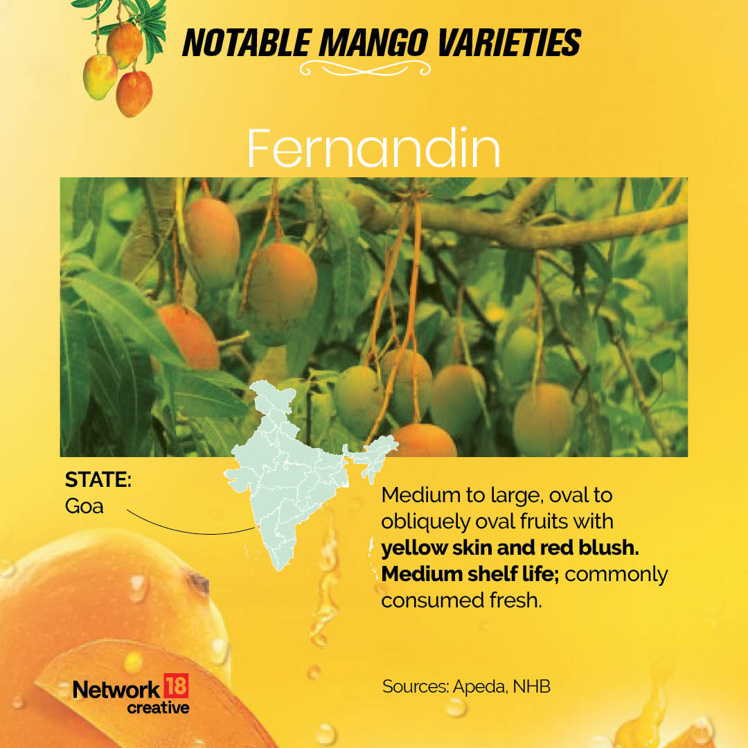 Mangoes Of India: From Alphonso To Dasheri, Exploring Varieties Of Country's Most Loved Fruit | VFX