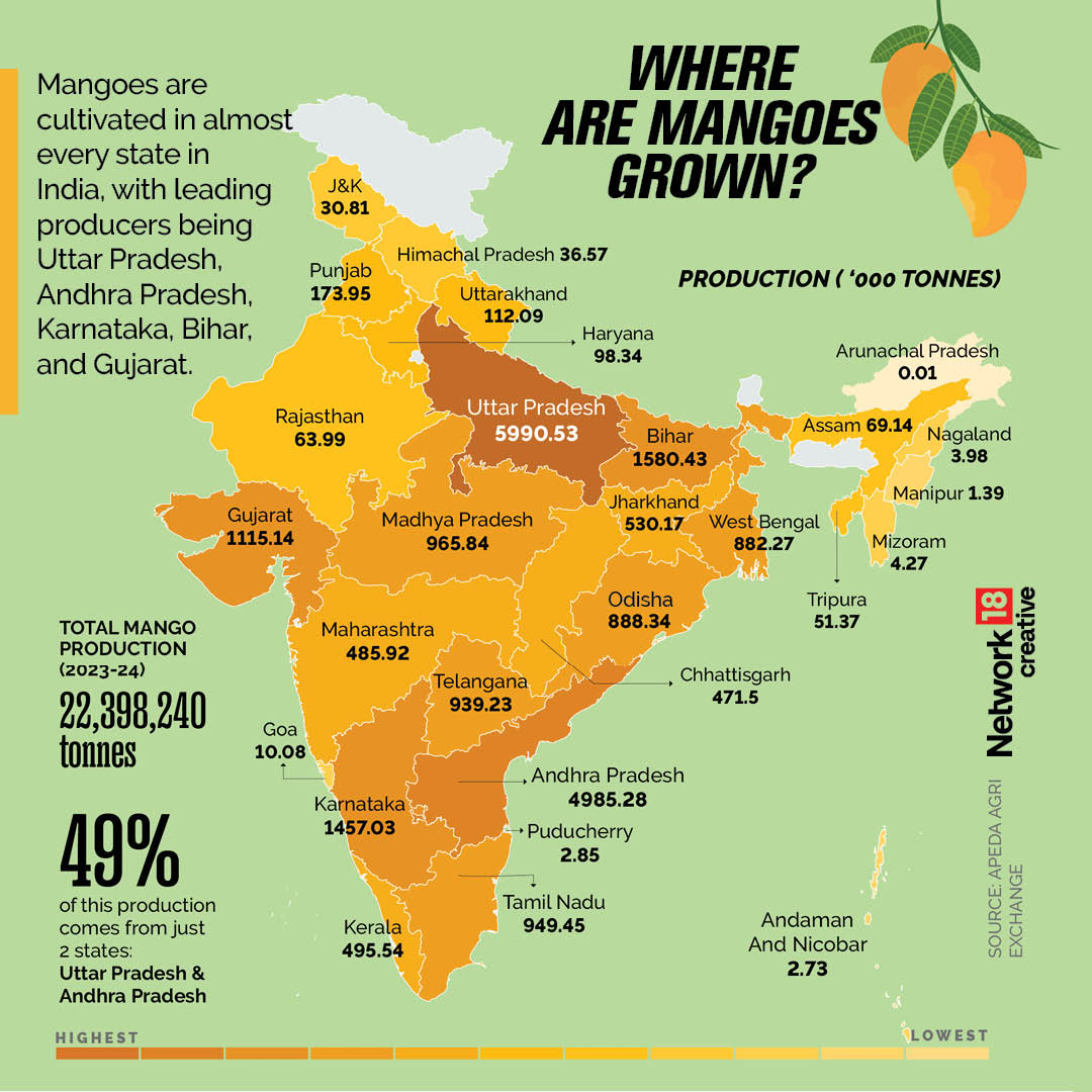 Mangoes Of India: From Alphonso To Dasheri, Exploring Varieties Of ...